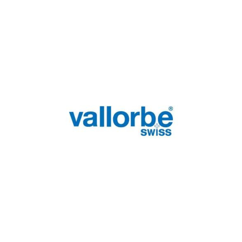 Vallorbe Precision Swiss File Manufacturer – Eternal Tools